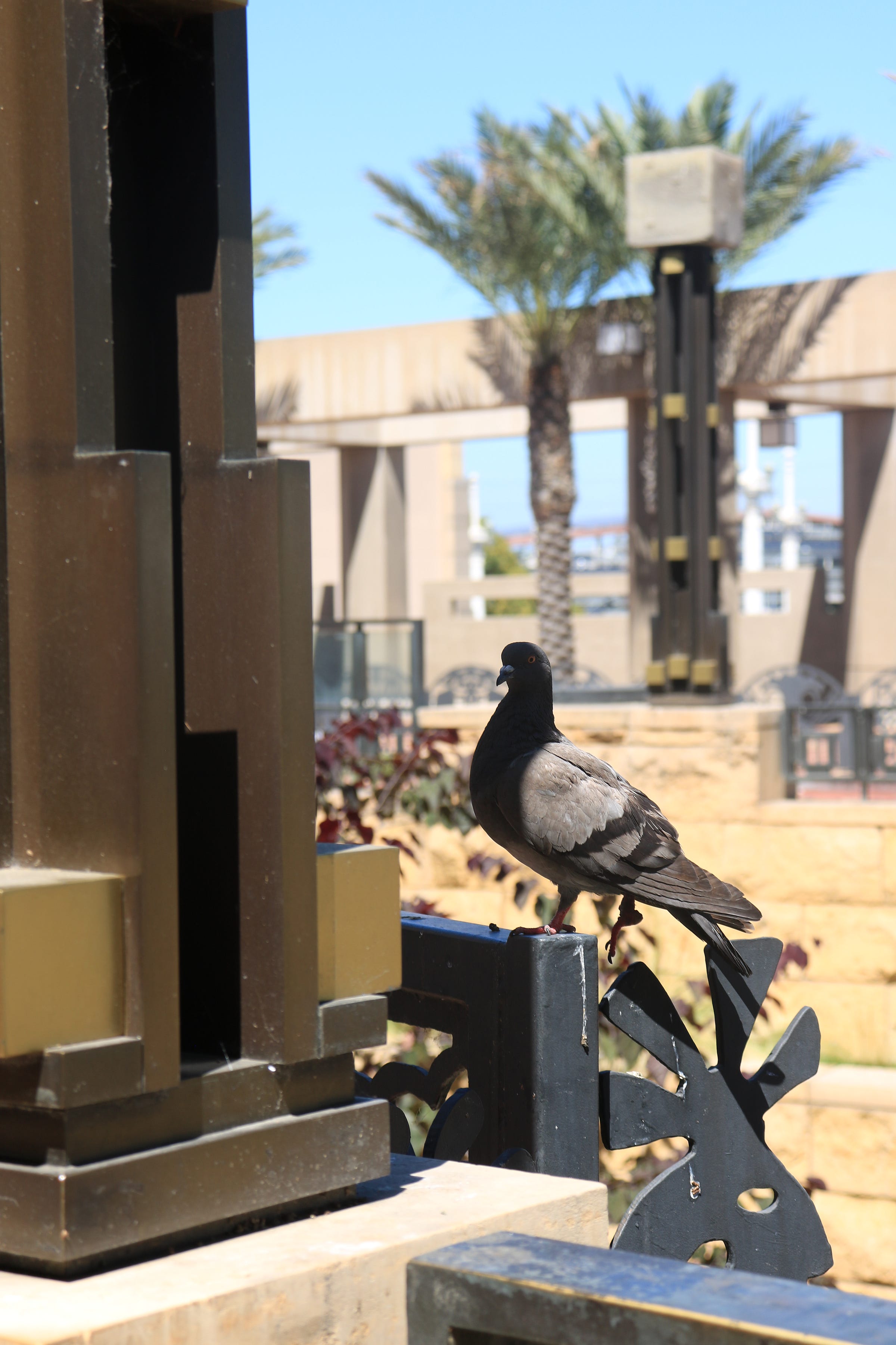 Norma Jean Knight – Medium