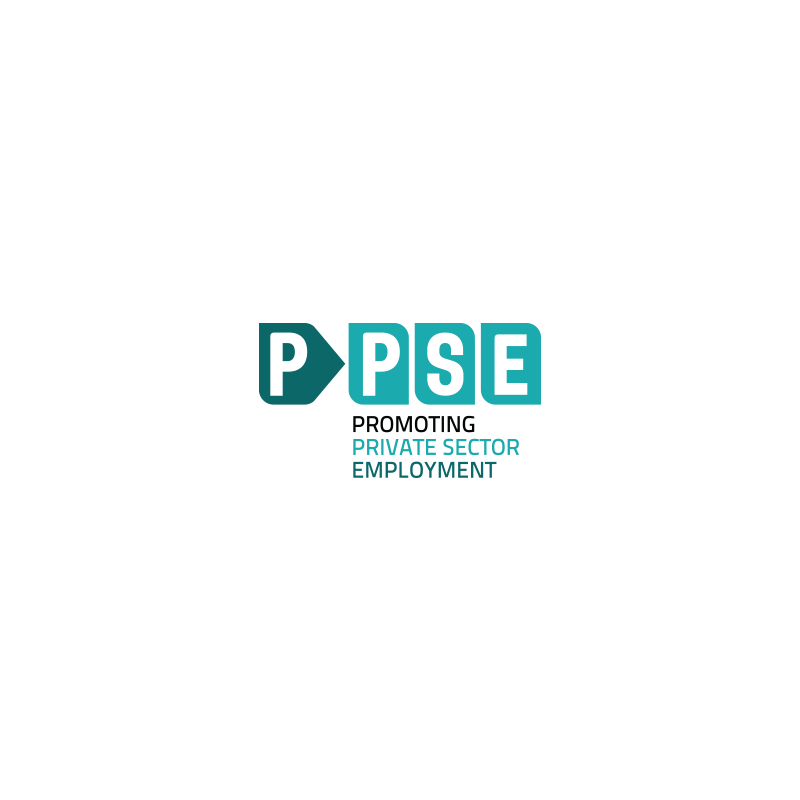 About – PPSE Swisscontact – Medium
