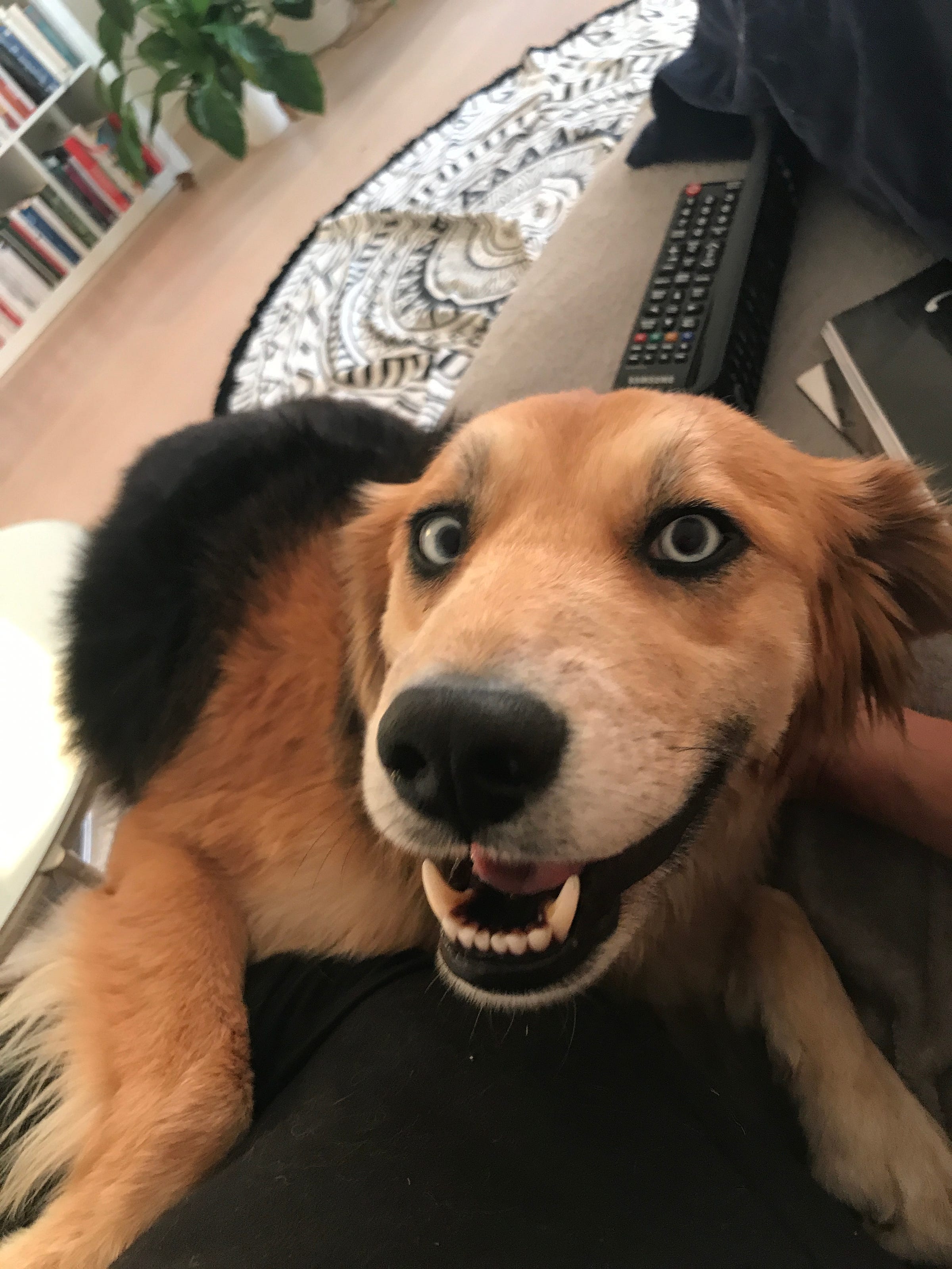 About – Ula Ka – Medium