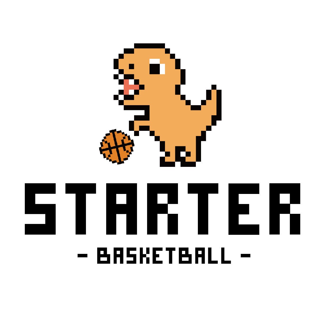 Starter Basketball – Medium