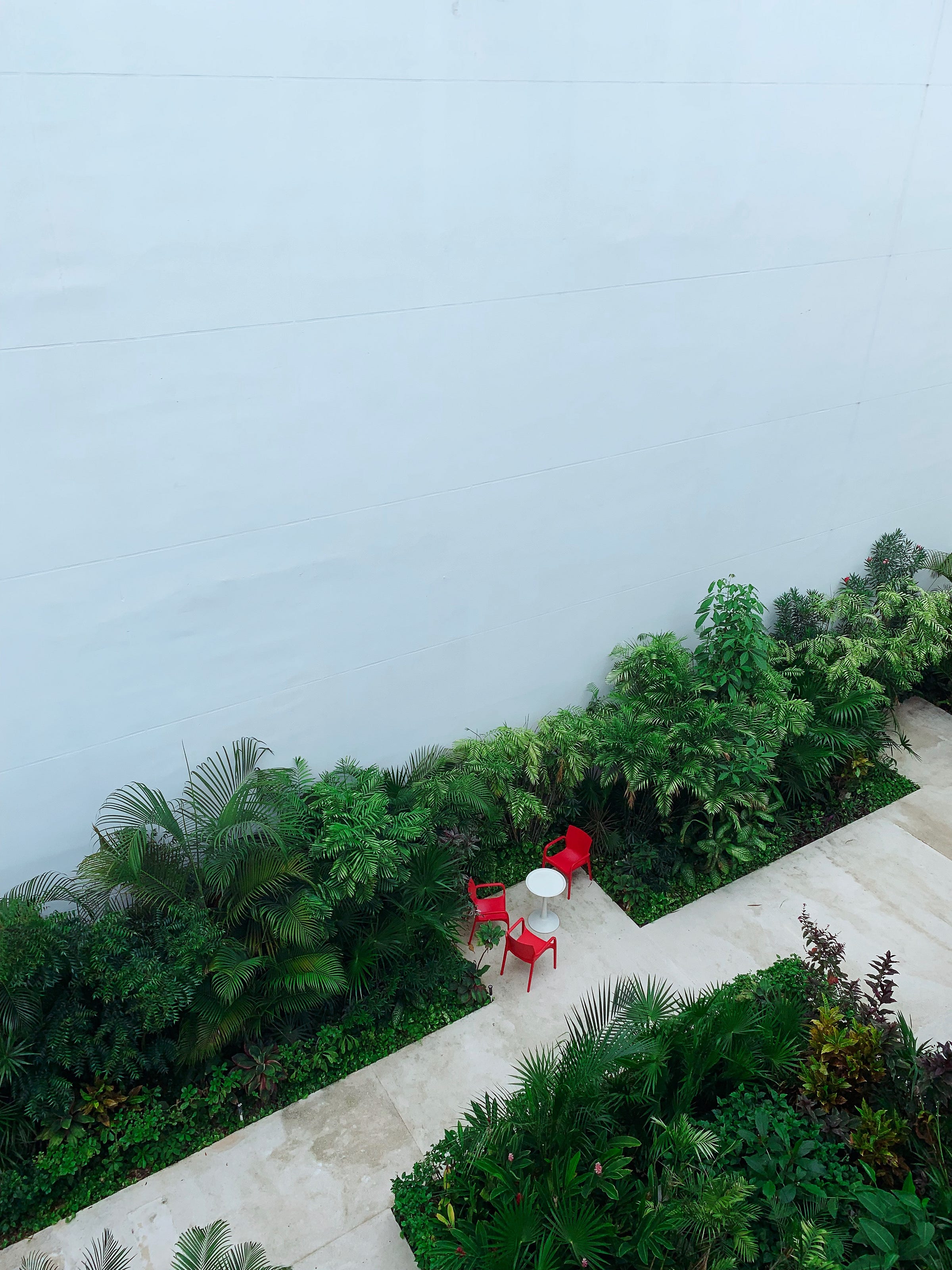 Anthony Capo – Medium