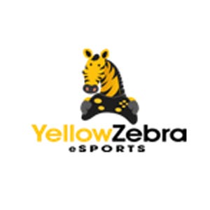 Yellow Zebra – Medium