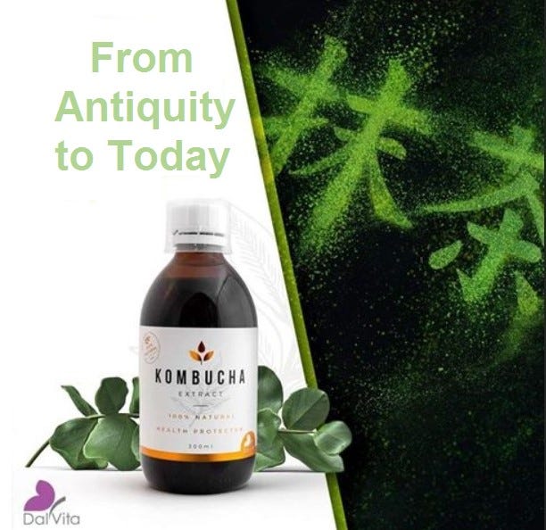 Kombucha Extract – Medium