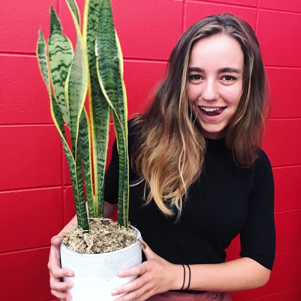 Samie Kaufman – Medium