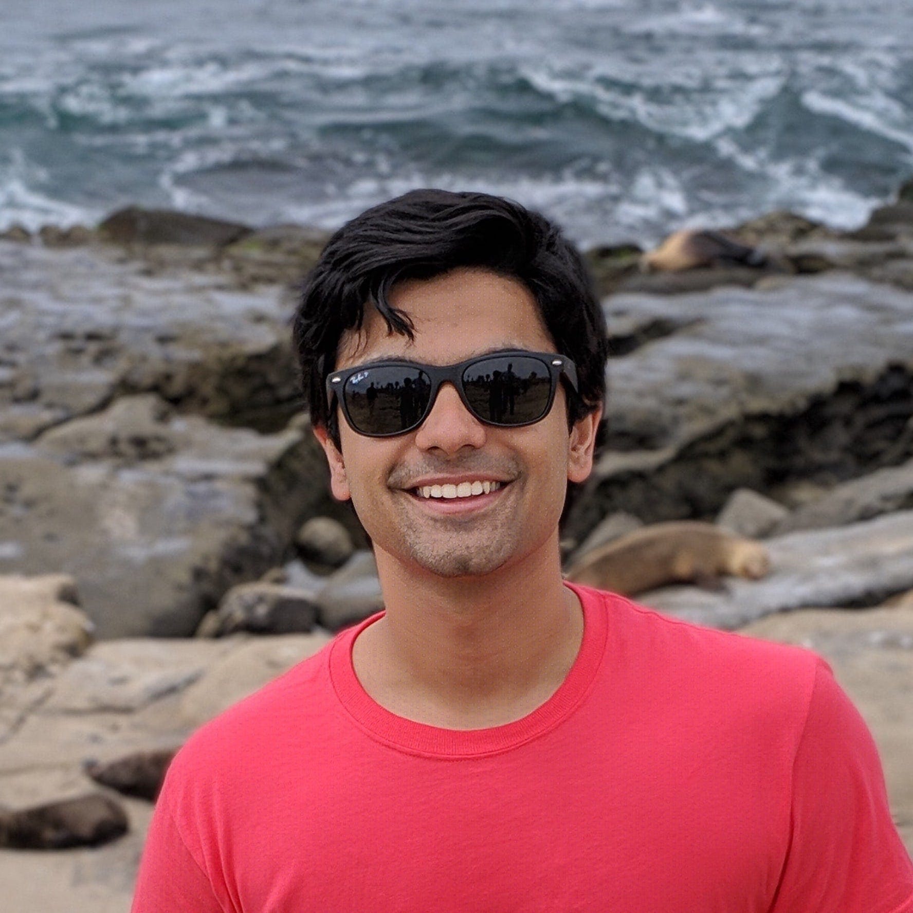 Paul Krishnamurthy – Medium