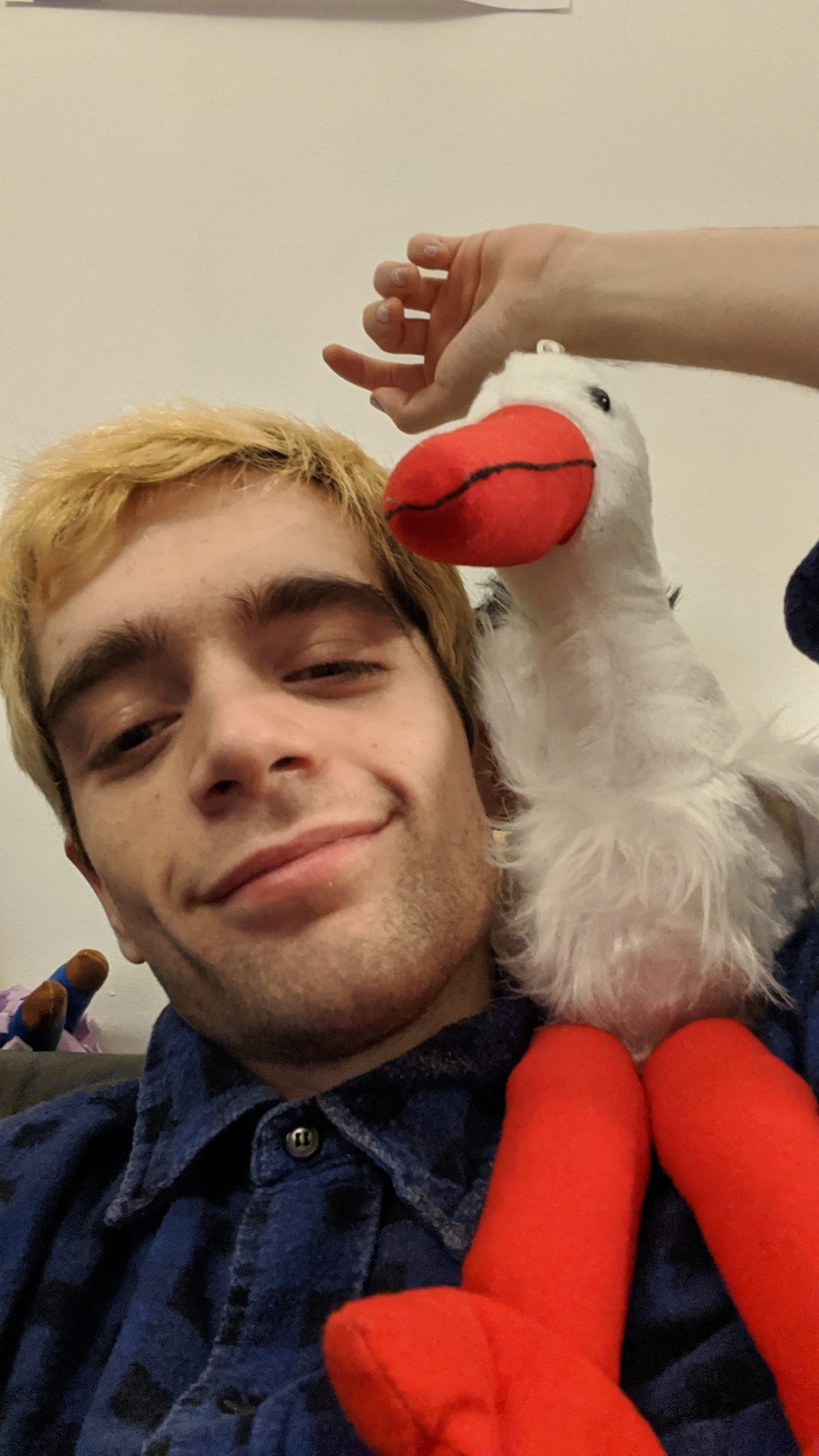 Zac Colley – Medium