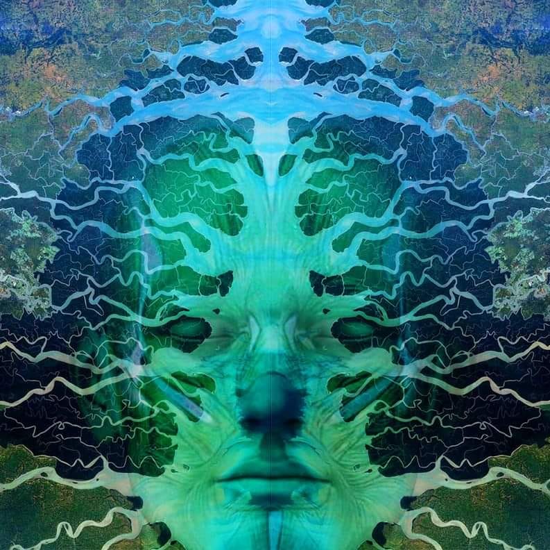 Trevor Wills – Medium