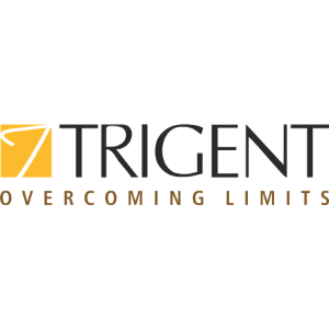 About – Trigent Software Inc – Medium