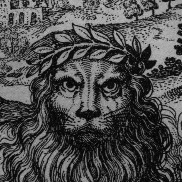 Lord Nine – Medium