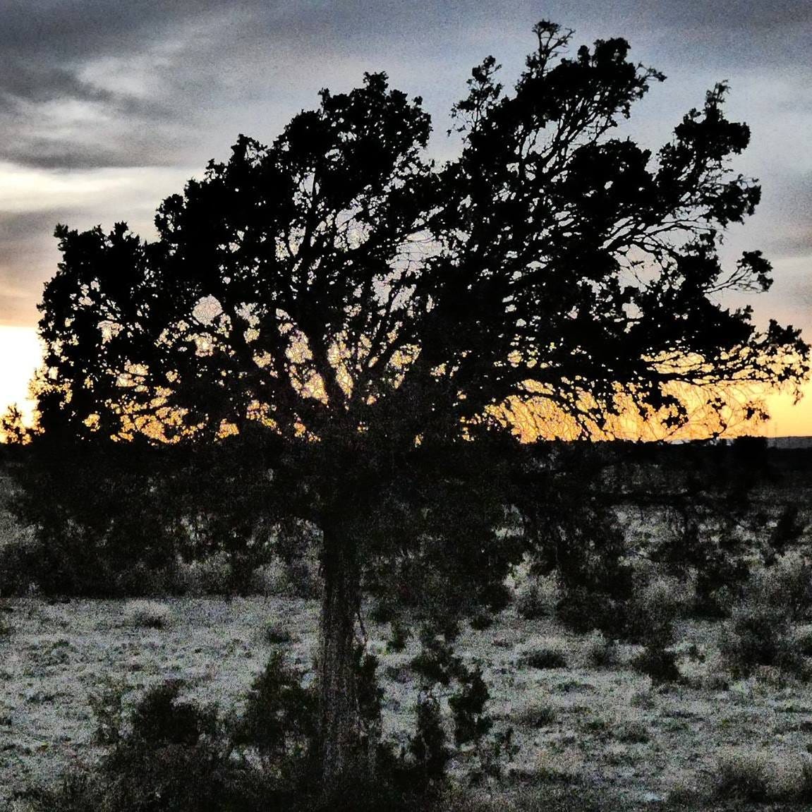 About – Aaron Meacham – Medium