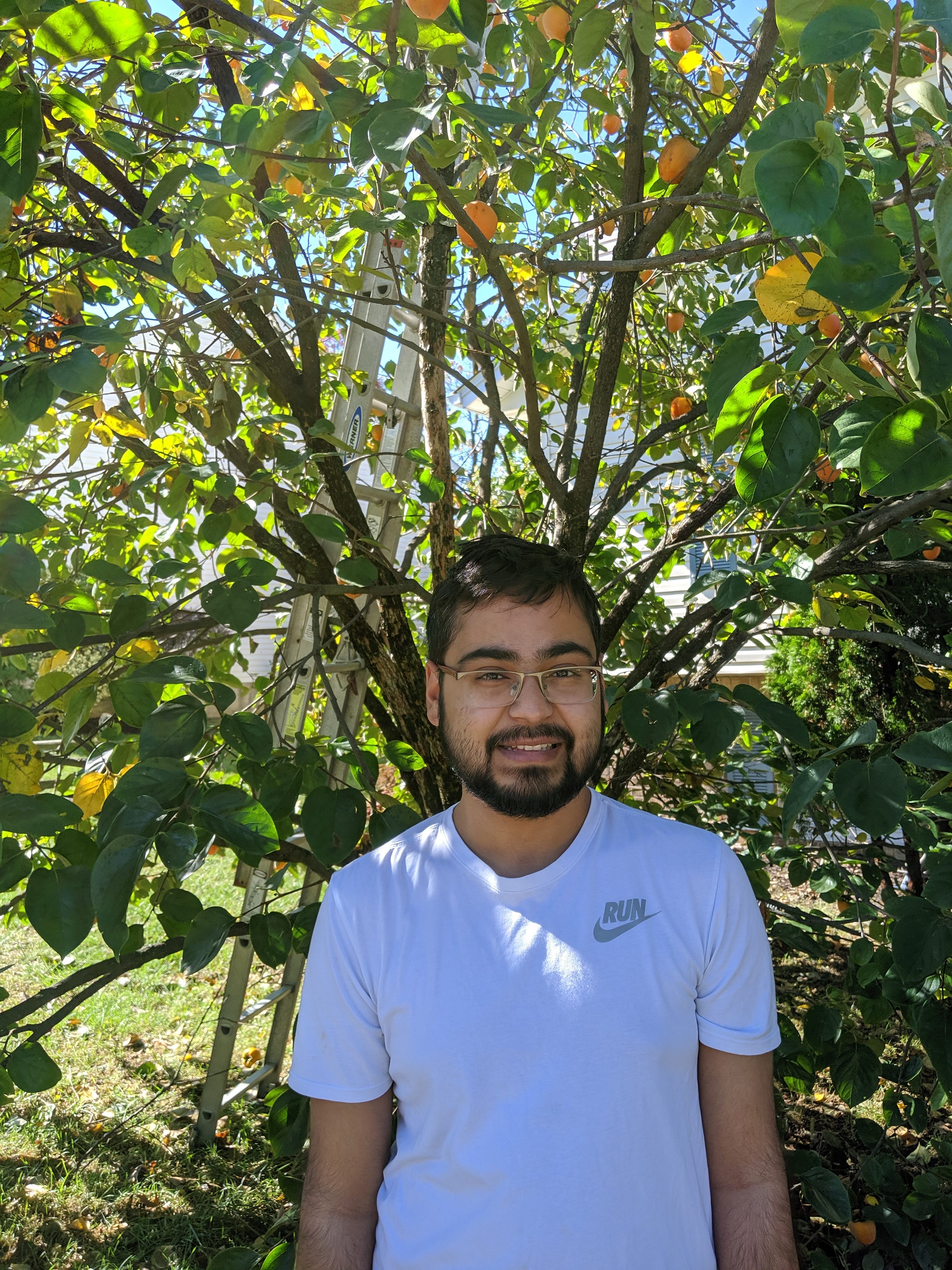 Faiz Anwar – Medium