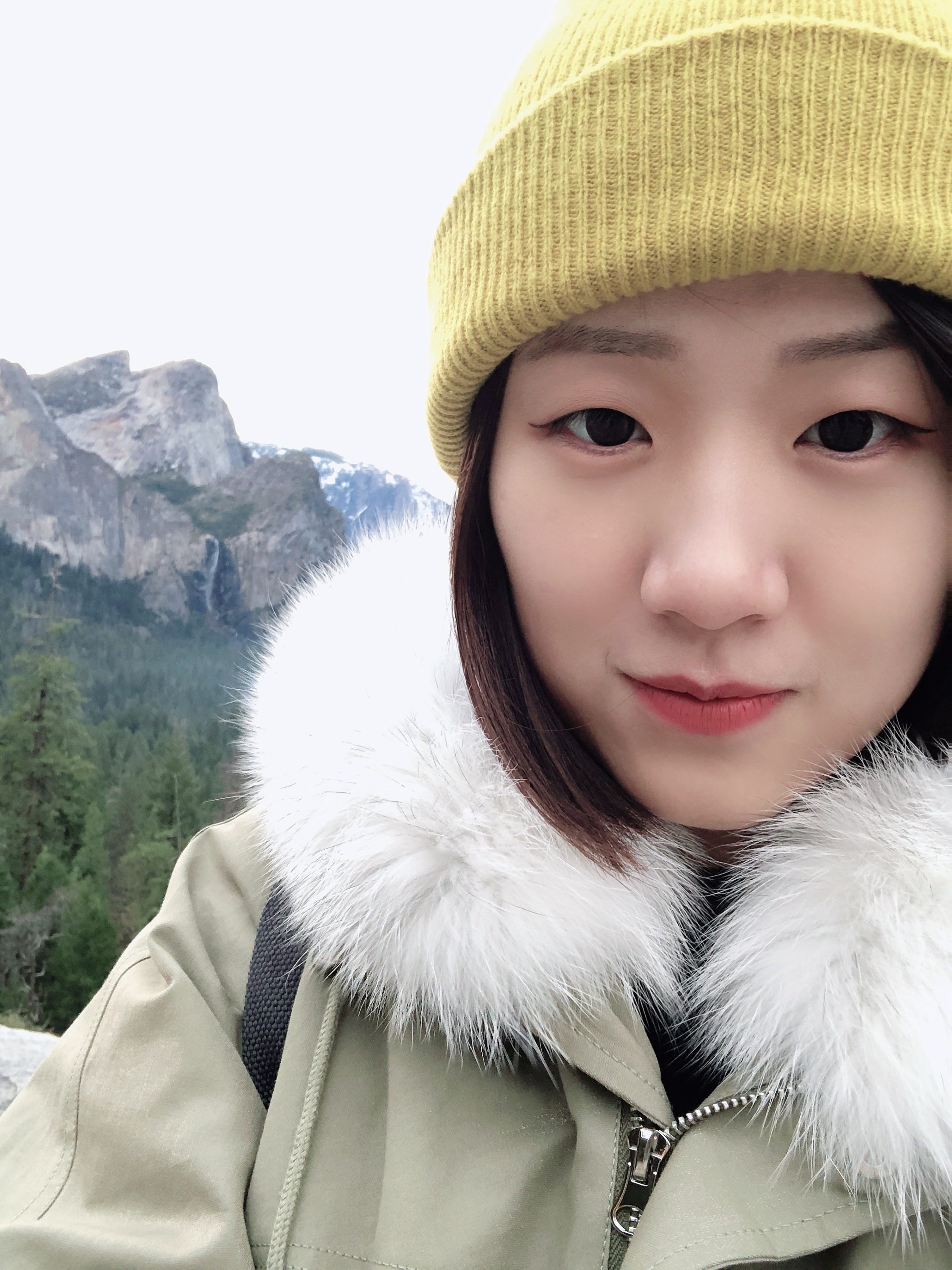 Wanlin Li on Medium curated some lists