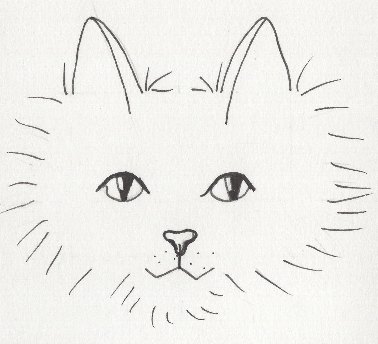 How To Draw A Cat On Face