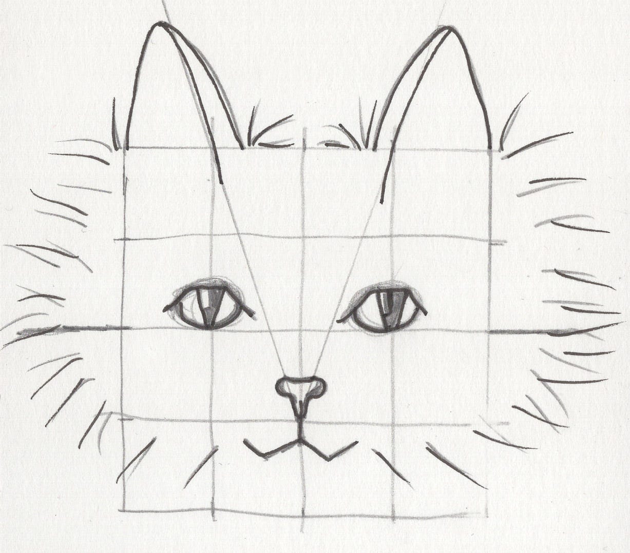 How To Draw A Cat Face
