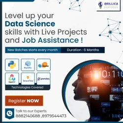 Why Data Science Is Important. As technology advances the data that… | by Brillica Services ...