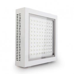 Pump up Your Visibility with Skyworth’s Canopy Light | by Sky Worth LED ...