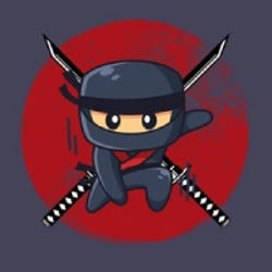 Introducing Shinobi Ninja Token: Revolutionizing the Crypto Landscape ...