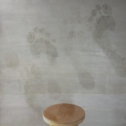 Footprints on the Wall - Shola - Medium
