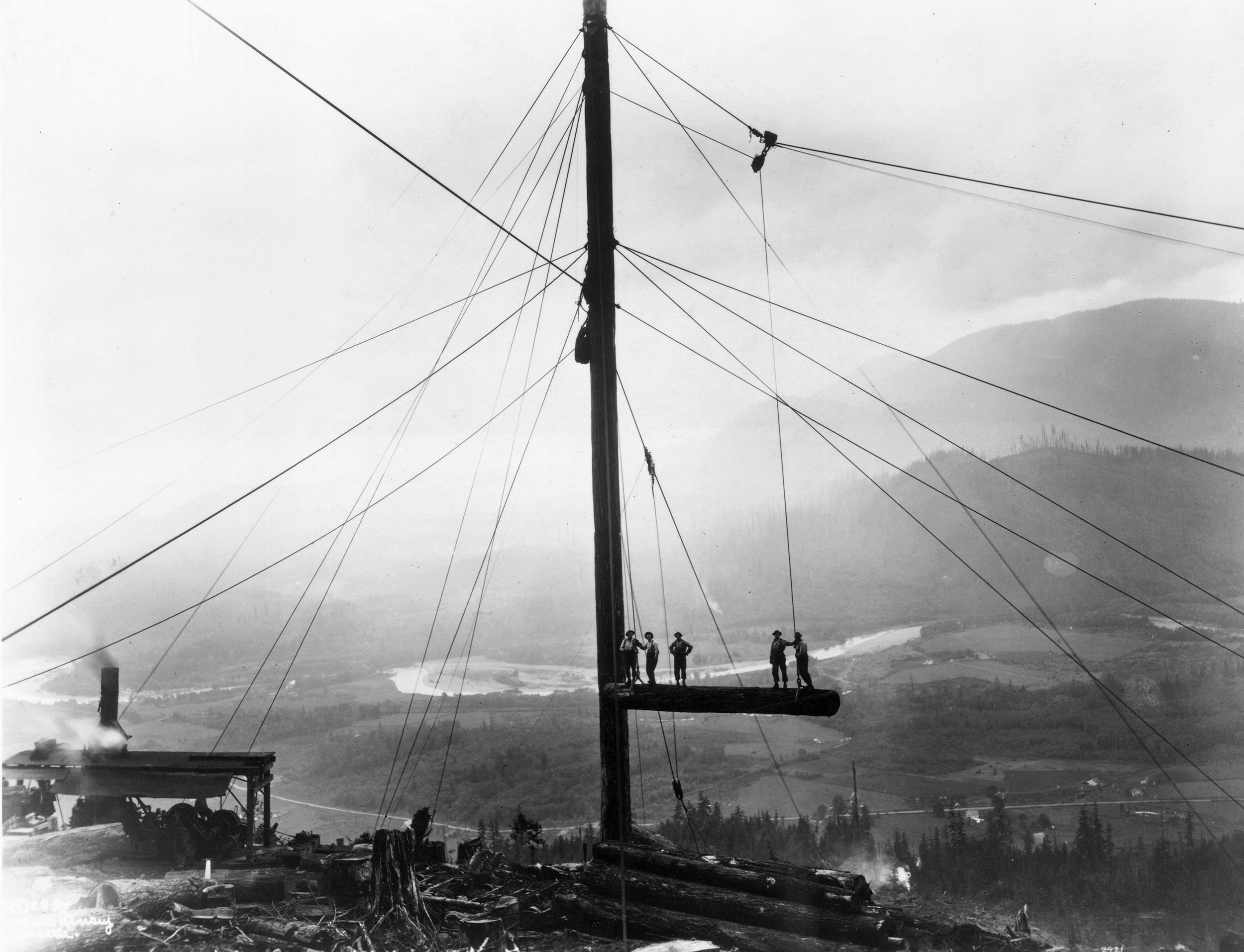 Early logging photos show the taming — and tarnishing — of Washington ...