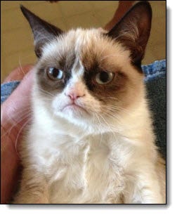 WHY IS EVERYONE ON THE INTERNET SO GRUMPY? | by Leo Notenboom | Tech ...