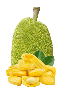 Nutritional Power of Jackfruit: A Guide to Its Health Benefits ...