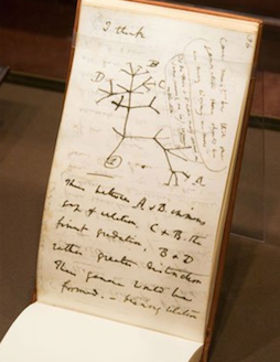 Famous Friday: Charles Darwin and his journal | by Jakob Brøgger ...