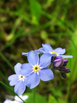 Unforgettable — a poem - Philip Temple - Medium