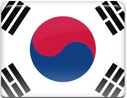 Fellows in the Land of Kimchi: A Surgeon’s guide on Korean Fellowship ...