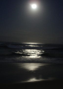 Lunacy - Collected Poems by Francis Rosenfeld - Medium