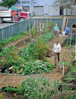 A farm in the ghetto?. Growing up in The Bay I would never… | by Cheng ...