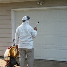 Affordable Pest Control. Pest Control treatment should not be… | by ...
