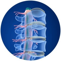 Bulging Disc Houston | Houston Spine Dr. Martin - Houston Spine Dr ...
