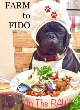 FARM to FIDO: In The Raw. The Revealing Truth about Raw Food… | by Katy ...