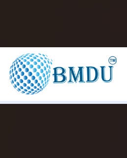 Elevate Your Online Presence with Bmdu.net: A Leading Website Designer in Noida | by ...