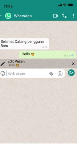 UI/UX CASE STUDY: WhatSapp Research Plan Addition of Text Edit Feature ...