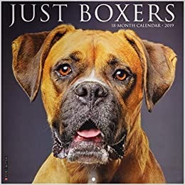 READ/DOWNLOAD!# Just Boxers 2019 Wall Calendar (Do | by READ/DOWNLOAD ...