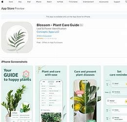 Install and Run the Blossom App - Nahidhasan - Medium