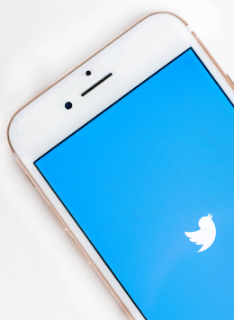 Twitter was defined back in 1839. Twitter can be found in an 1839 ...