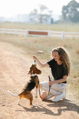 Common Mistakes in Dog Training and How to Avoid Them | by Puppy ...