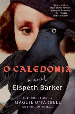 Book Review: O Caledonia. a novel by Elspeth Barker | by Ripley Grimms ...