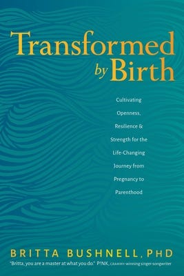 PDF Transformed by Birth: Cultivating Openness, Resilience, and ...
