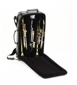 Advantages Of Buying An Original Triple Trumpet Case | by Gardbags | Medium