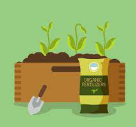Bio Fertilizer: Nurturing Sustainable Agriculture with Organic ...