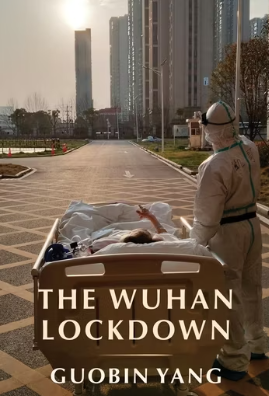 3. Wuhan Lockdown by Guobin Yang and the Israel and Palestine Conflict ...
