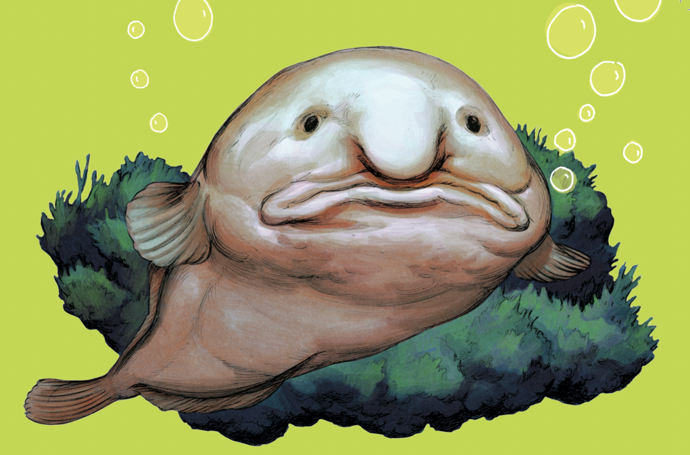 What Do Blob Fish Do