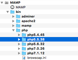Cara Mudah Menambah atau Mengganti Versi PHP di MAMP pada Mac OS/Windows | by Mas Cemal | Medium