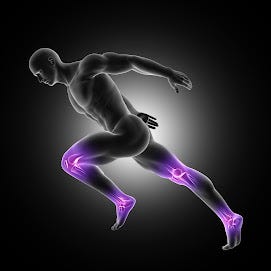 Best tips to make bones strong. The strength and health of our bones ...
