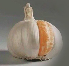 The Garlic and the Tangerine. A nine-course dinner was planned for ...