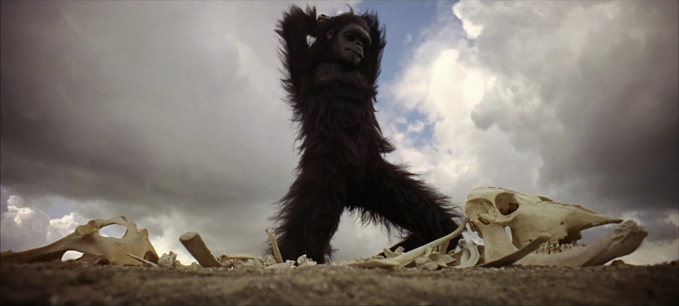 2001 A Space Odyssey Apes