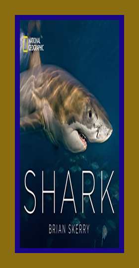 Brian Skerry: Shark pdf | by Mr. Bill Gutkowski | Sep, 2024 | Medium